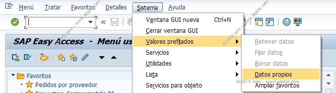 SAP - Usar el punto del teclado numérico como decimal - ELSATE.com